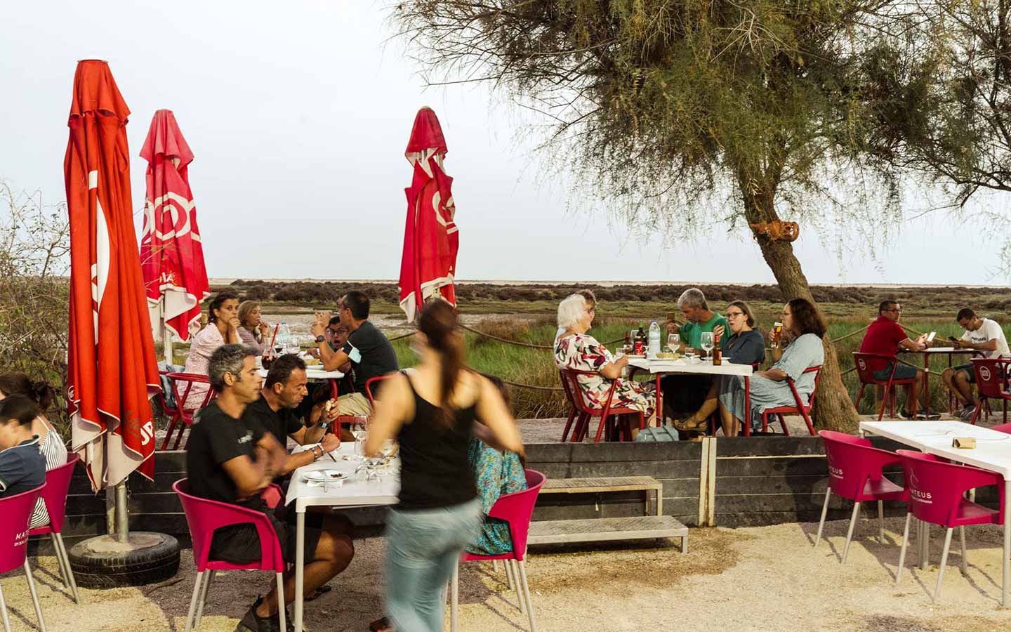 Where to Eat in the Algarve: Best Restaurants Guide