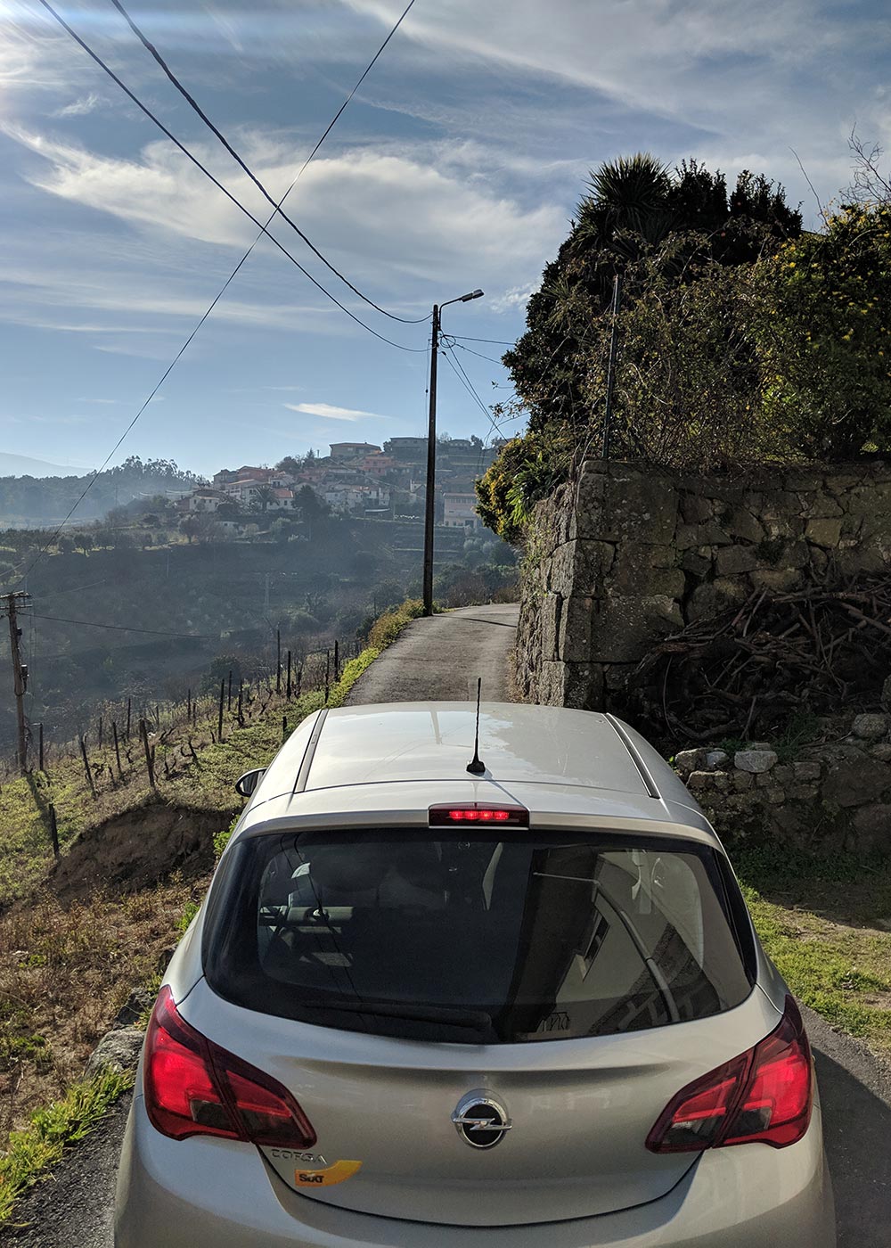 Guide to the Best Douro Valley Wine Tours From Porto