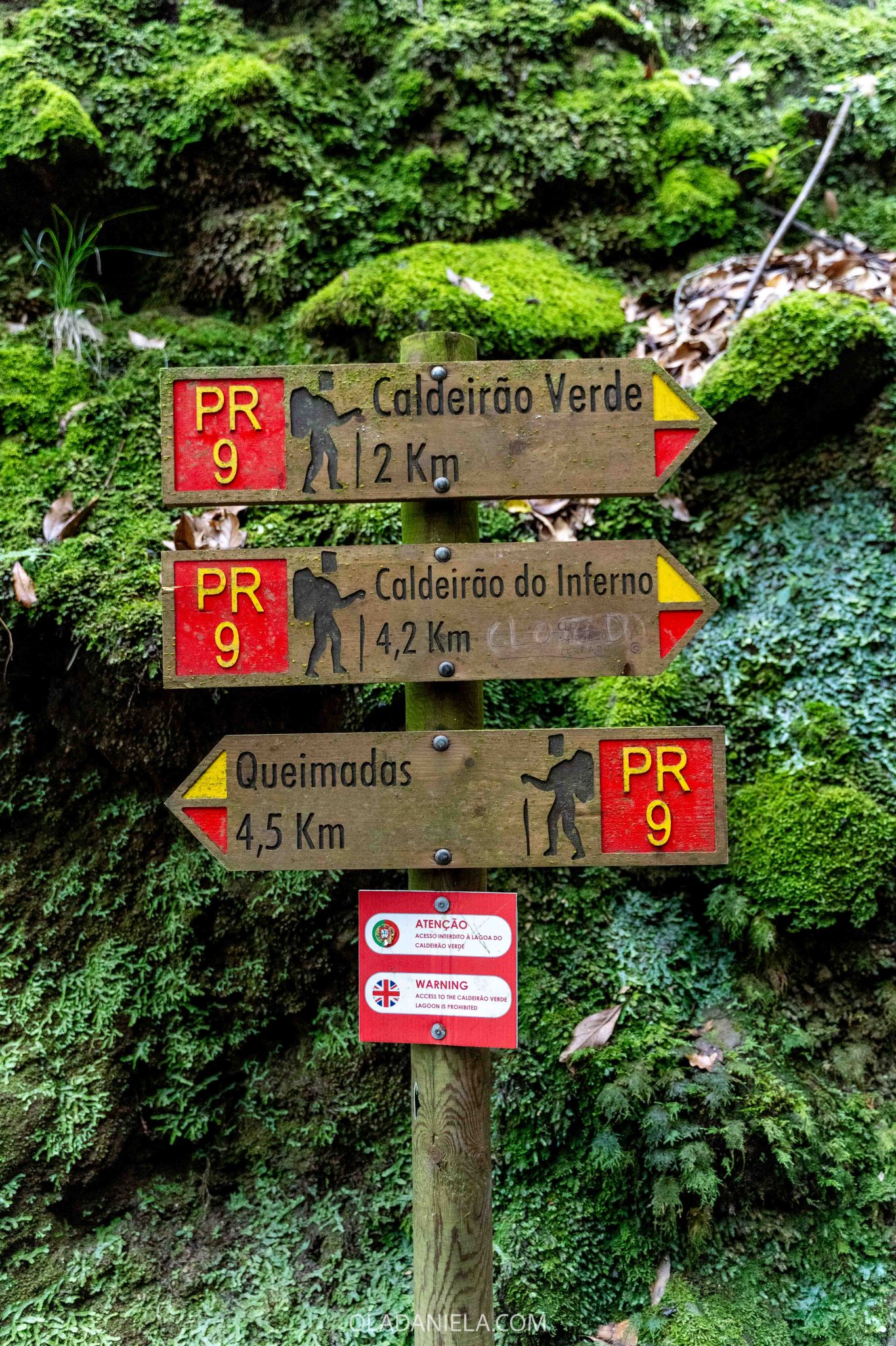The 4 best hikes (that I’ve done) on Madeira Island - Olá Daniela