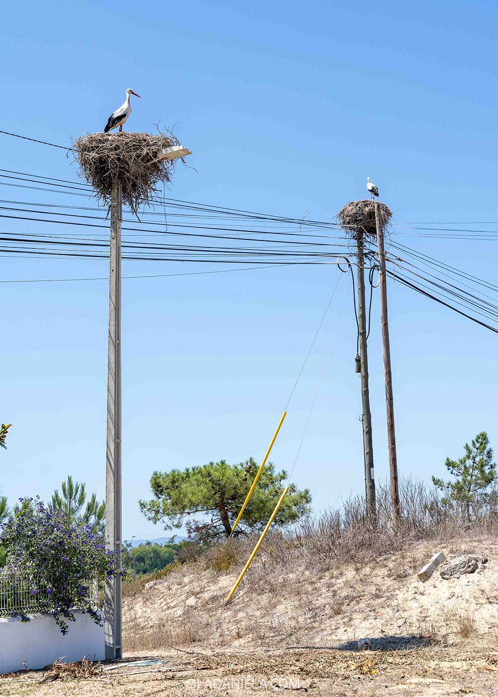 Your Ultimate Guide to Comporta, Portugal’s Luxe Beach Town