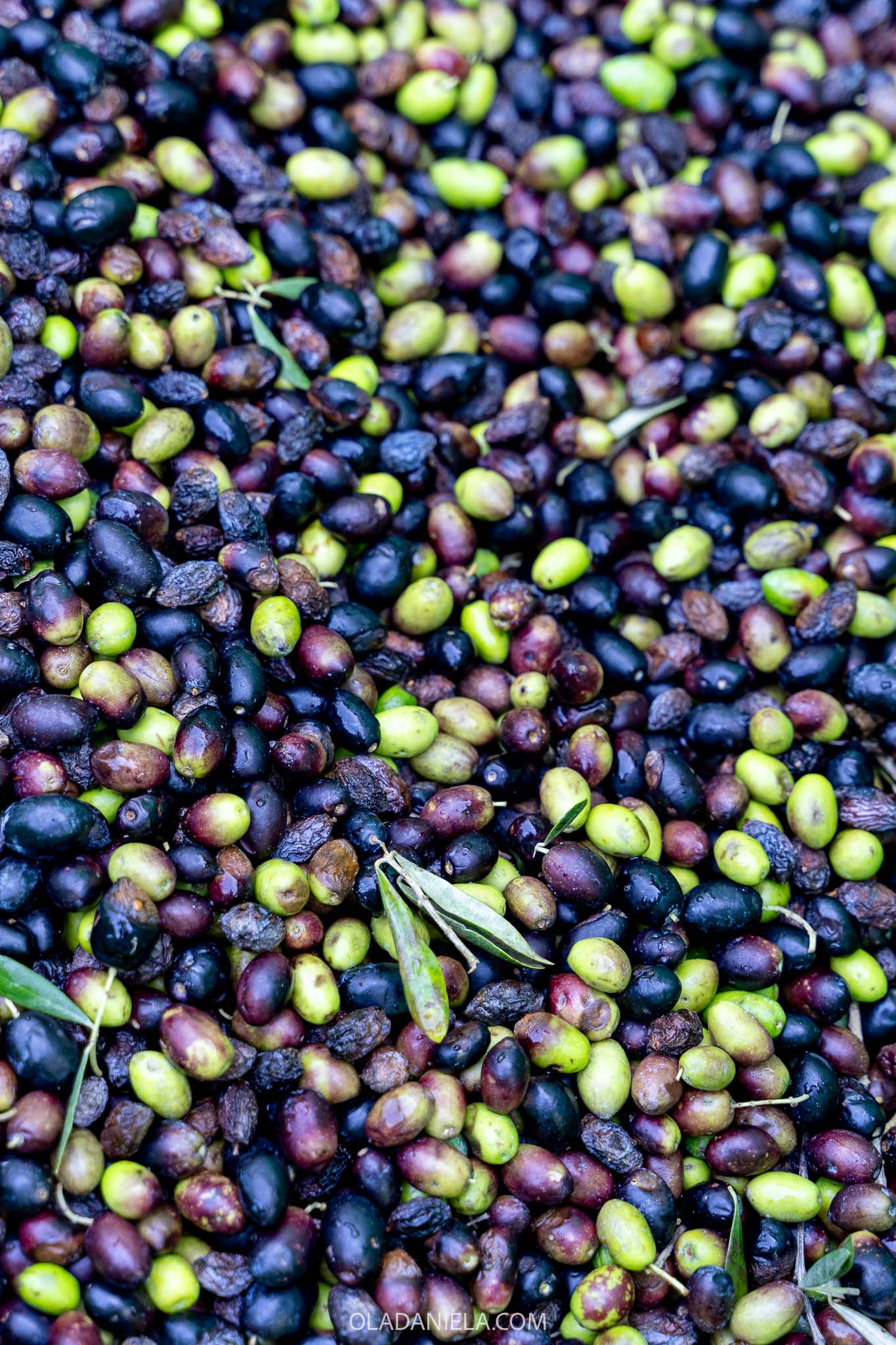 Portuguese artisans: 11 traditional crafts from the Alentejo