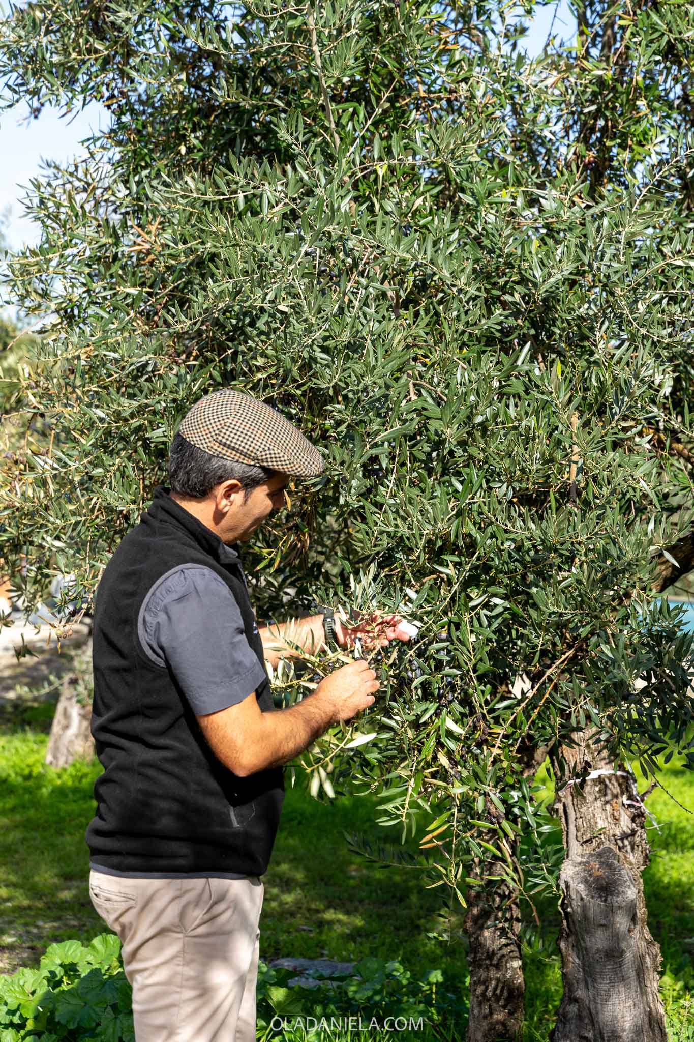Portuguese artisans: 11 traditional crafts from the Alentejo