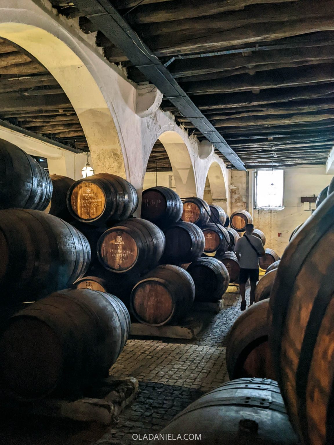 Best Porto Wine Tasting Tours (that I’ve done) & List of Port Cellars