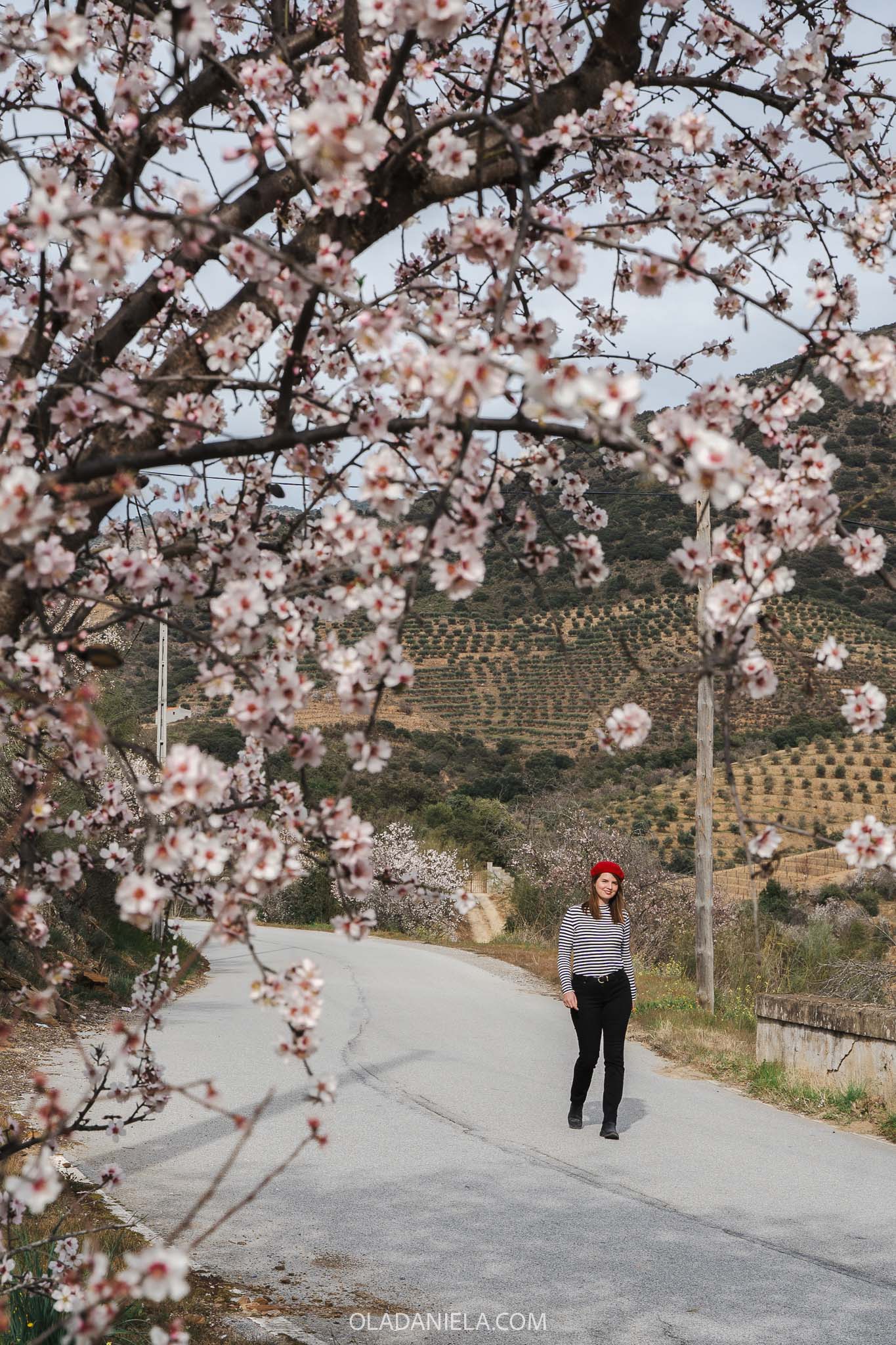 9 Places to Visit in Portugal This Spring – Olá Daniela